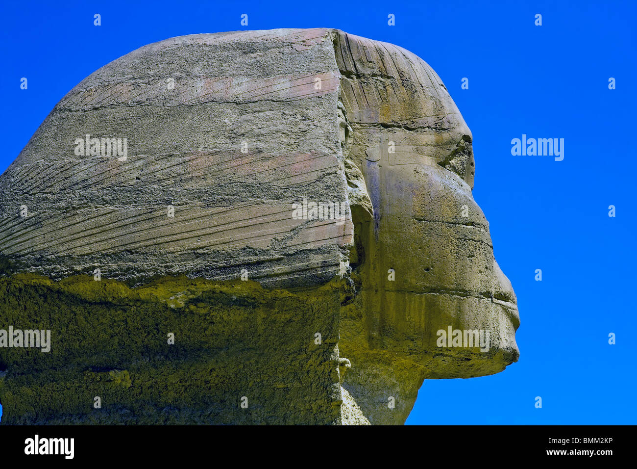 Portrait of the Great Sphinx of Giza in Egypt Stock Photo - Alamy