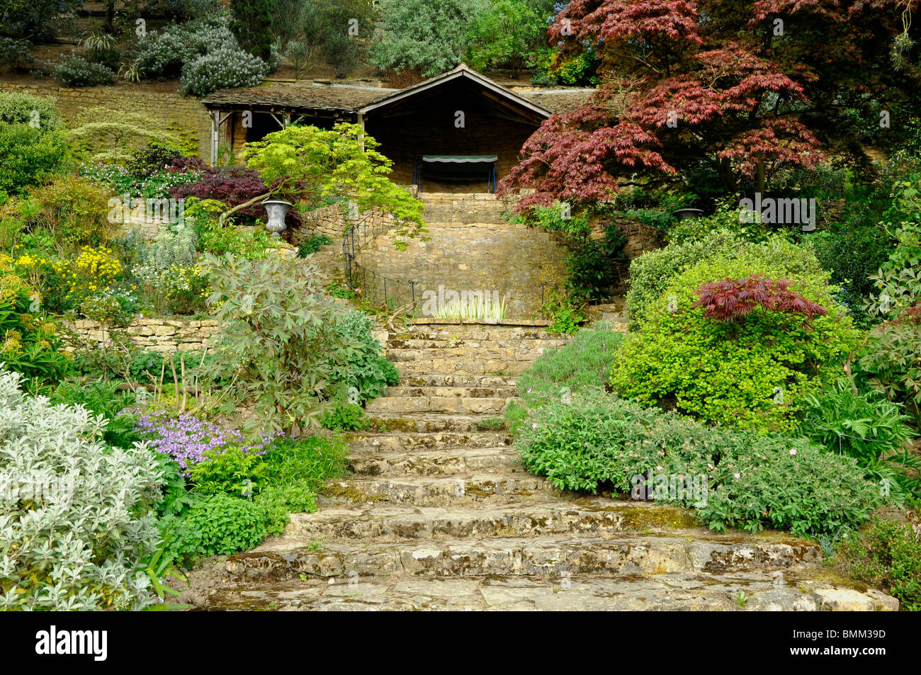 Steps with luxurious planting leading up the steep banks of the ...