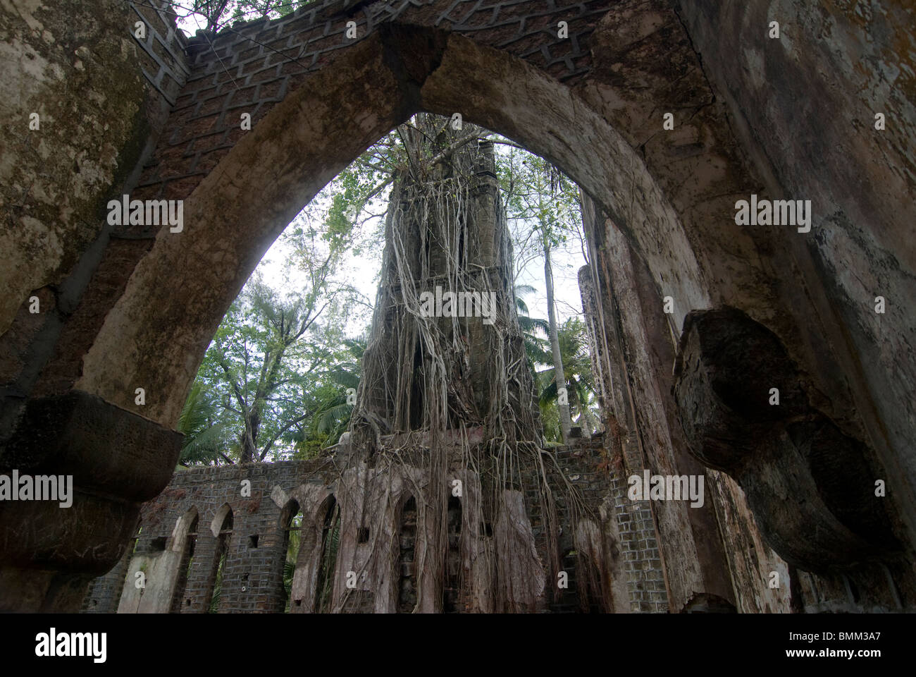 Roots around building hi-res stock photography and images - Alamy