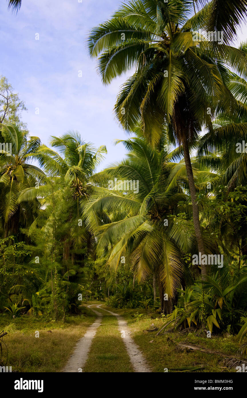 Desroches island resort hi-res stock photography and images - Alamy