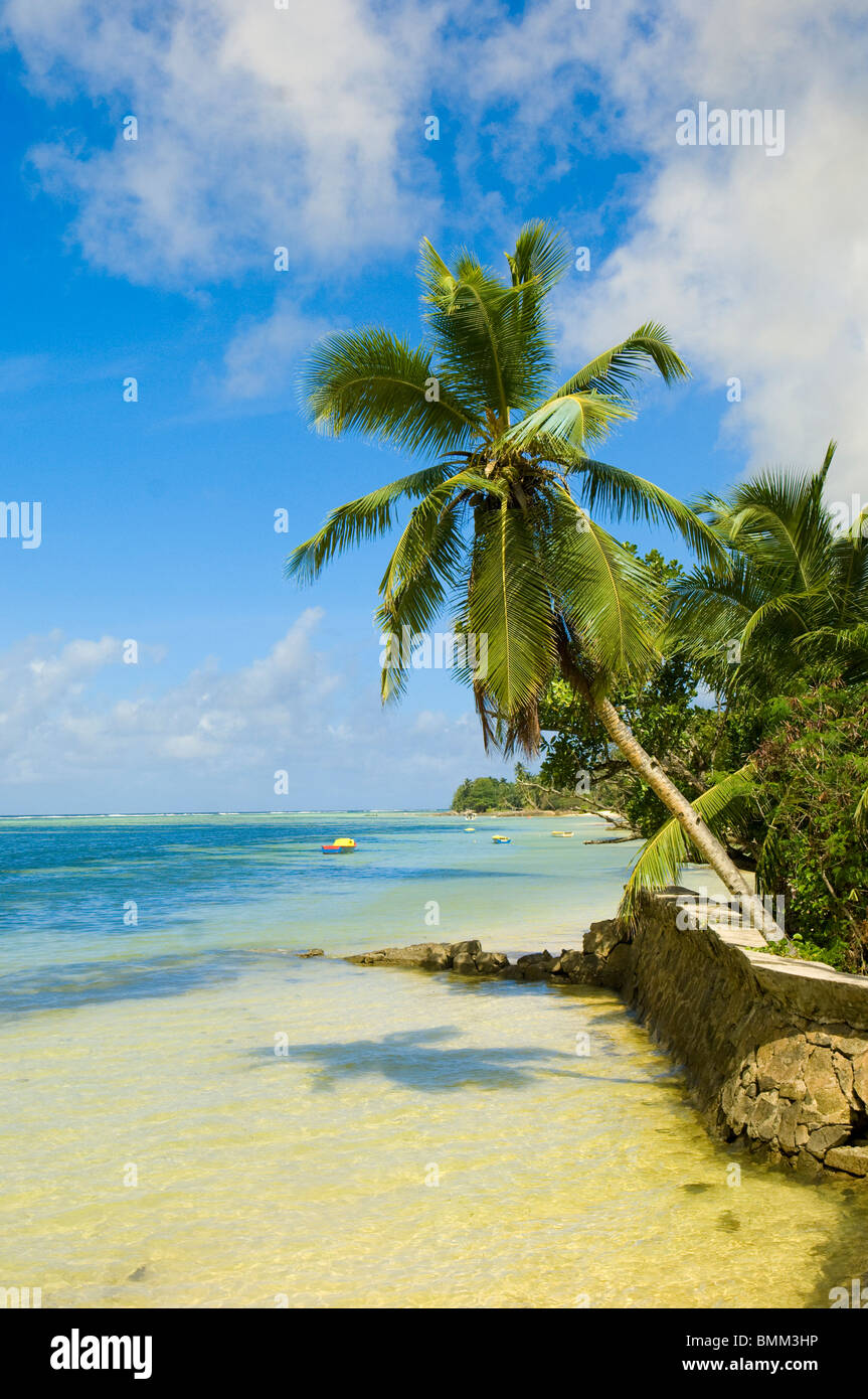 Boat on beach mahe island hi-res stock photography and images - Alamy