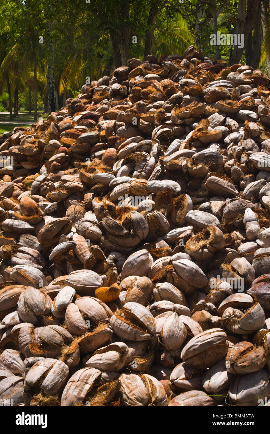 Seychelles, La Digue Island, L'Union Estate Plantation, coconut husks ...