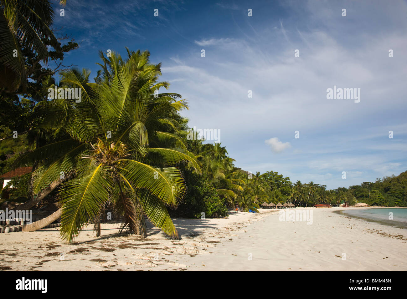 Seychelles, Praslin Island, Anse Volbert, beachfront Stock Photo - Alamy