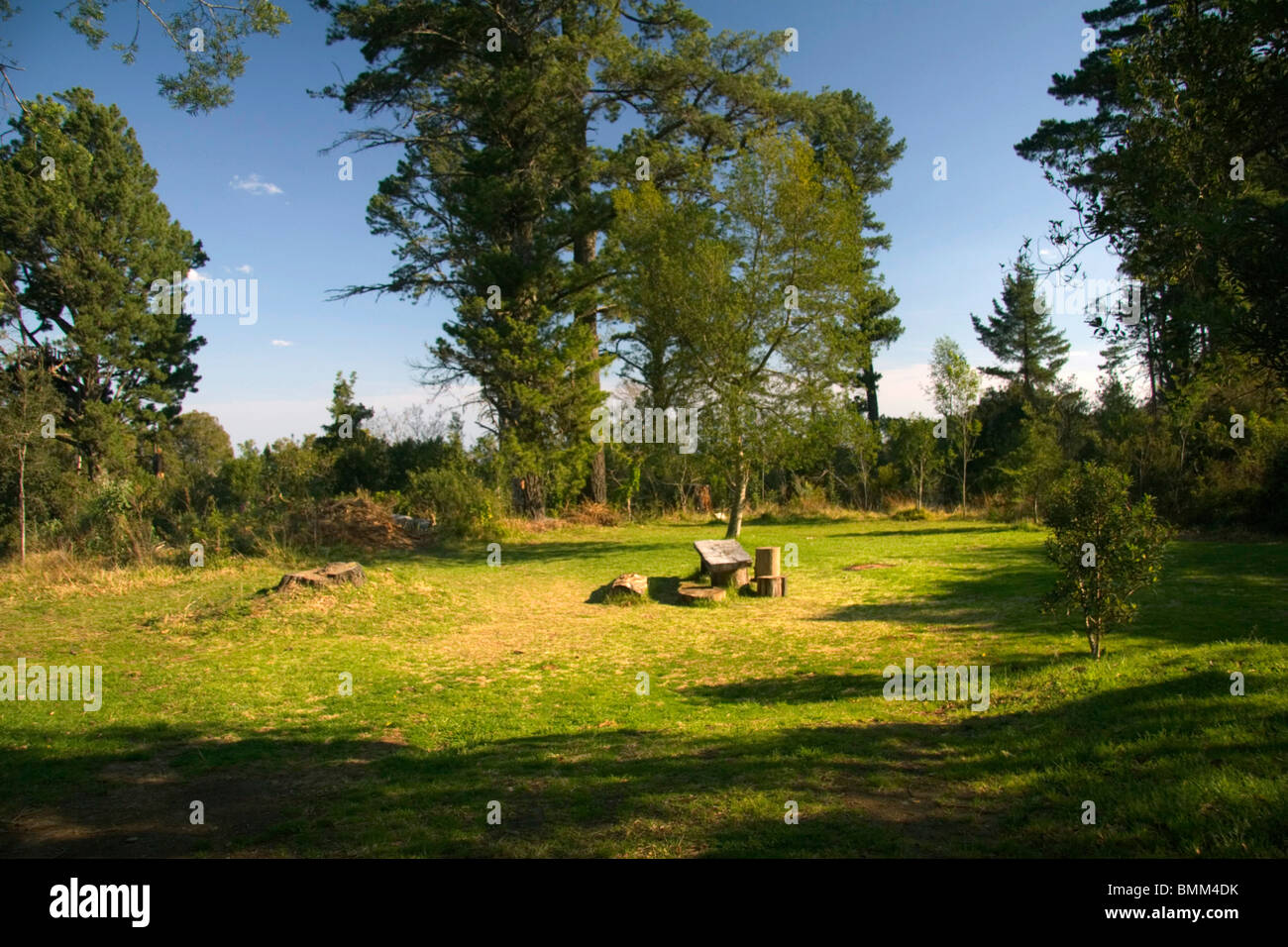 Hogsback, Eastern Cape, Amatole Mountains, South Africa. Overlooking ...