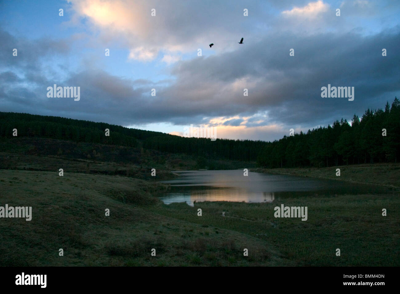 Hogsback Eastern Cape Amatole Mountains South Africa. This magical ...