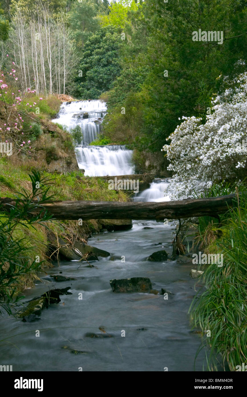 Hogsback, Eastern Cape, Amatole Mountains, South Africa. Hiking to the ...