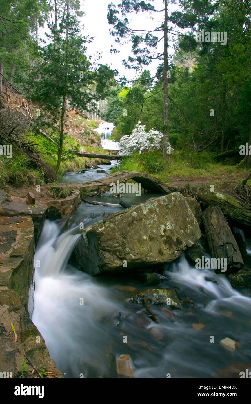 Hogsback, Eastern Cape, Amatole Mountains, South Africa. Hiking to the ...