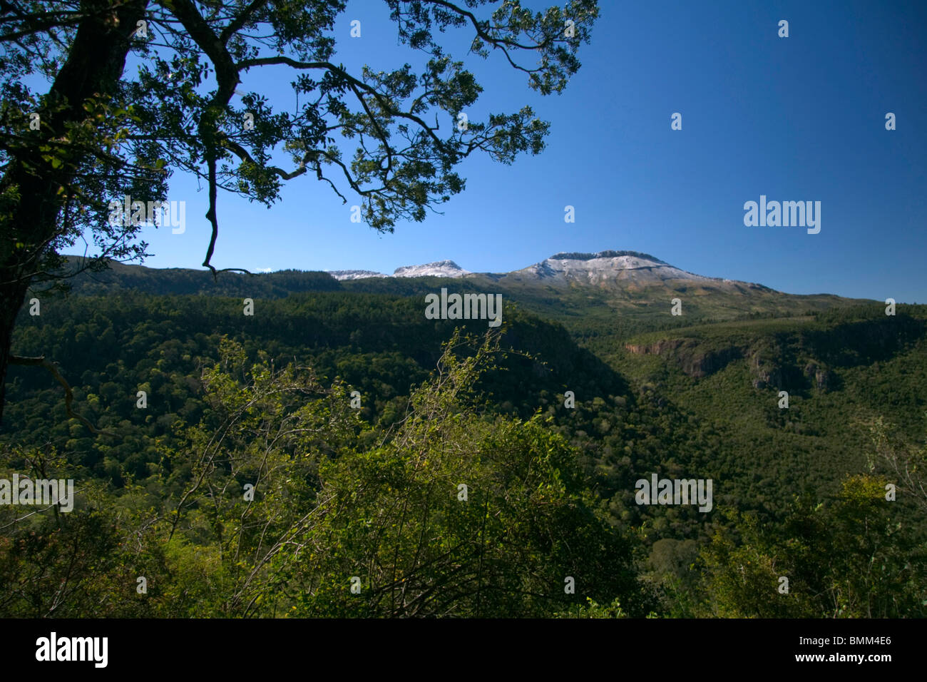 Hogsback, Eastern Cape, Amatole Mountains, South Africa. The three ...