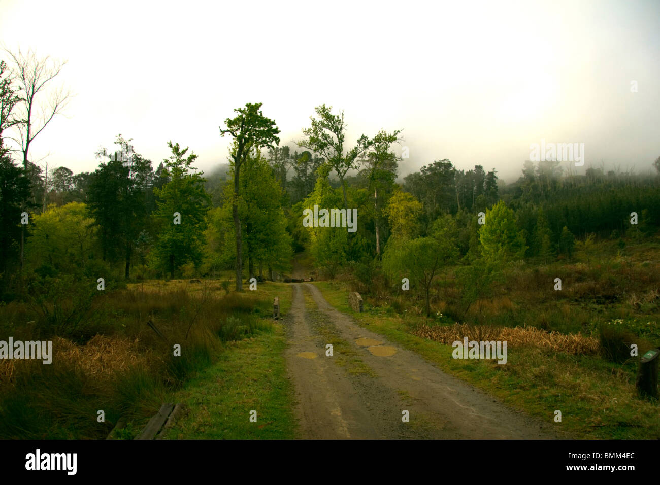 Hogsback, Eastern Cape, Amatole Mountains, South Africa. Hogsback is ...