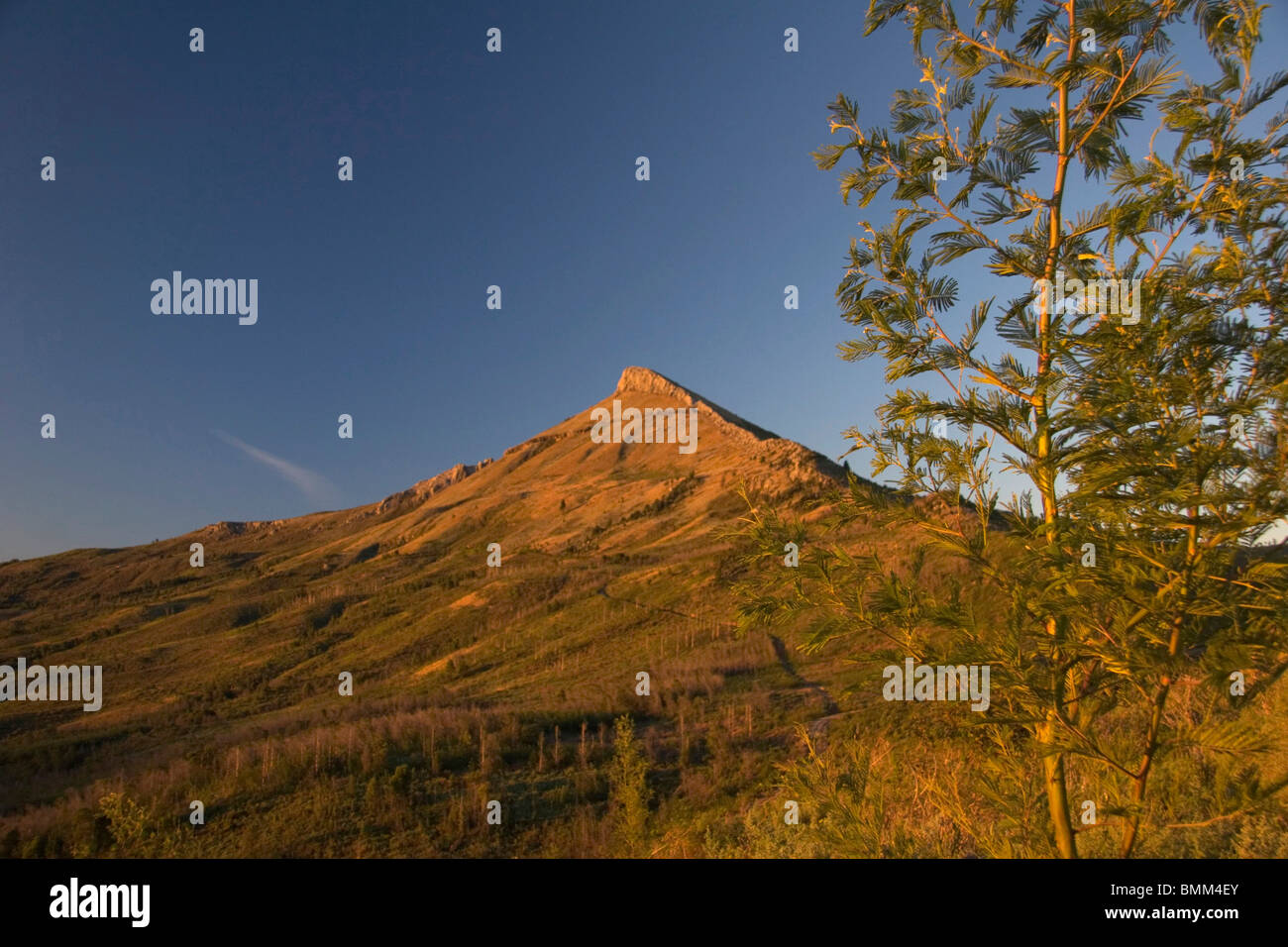 Amatole mountains hi-res stock photography and images - Alamy