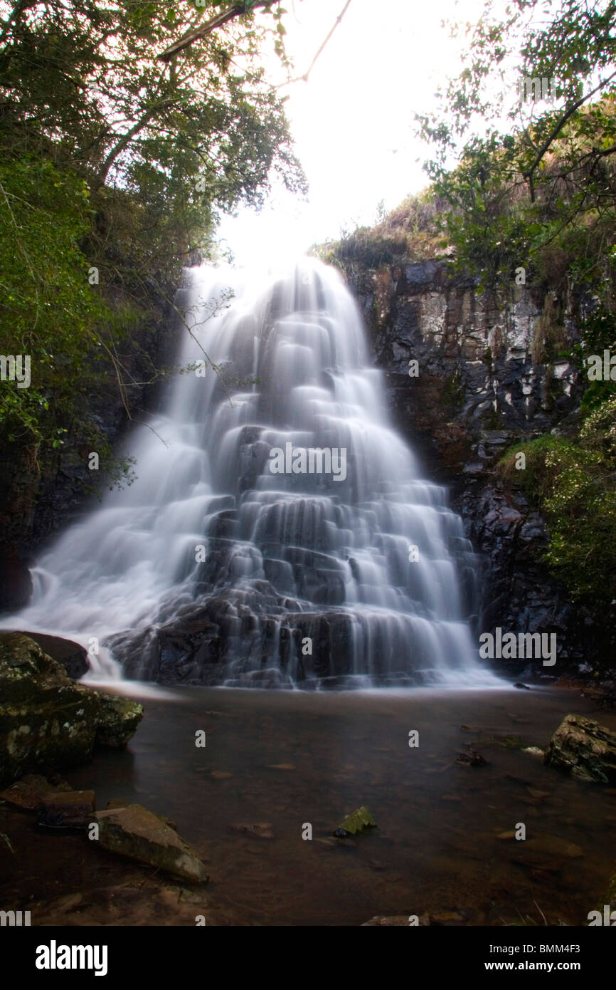 Hogsback, Eastern Cape, Amatole Mountains, South Africa. Some mystical ...
