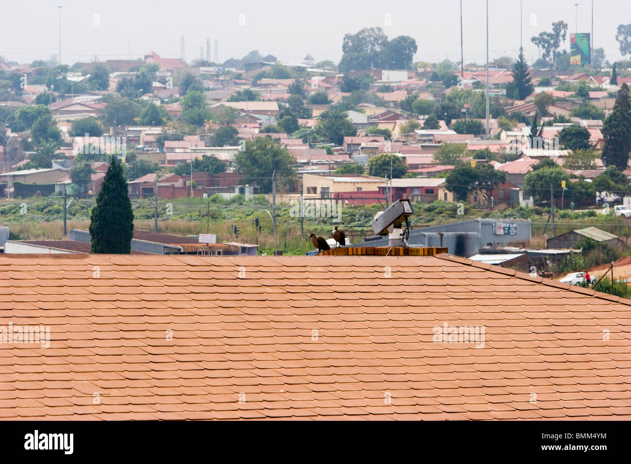South Africa, Johannesburg. Winnie Madikizela-Mandela's home in Soweto ...