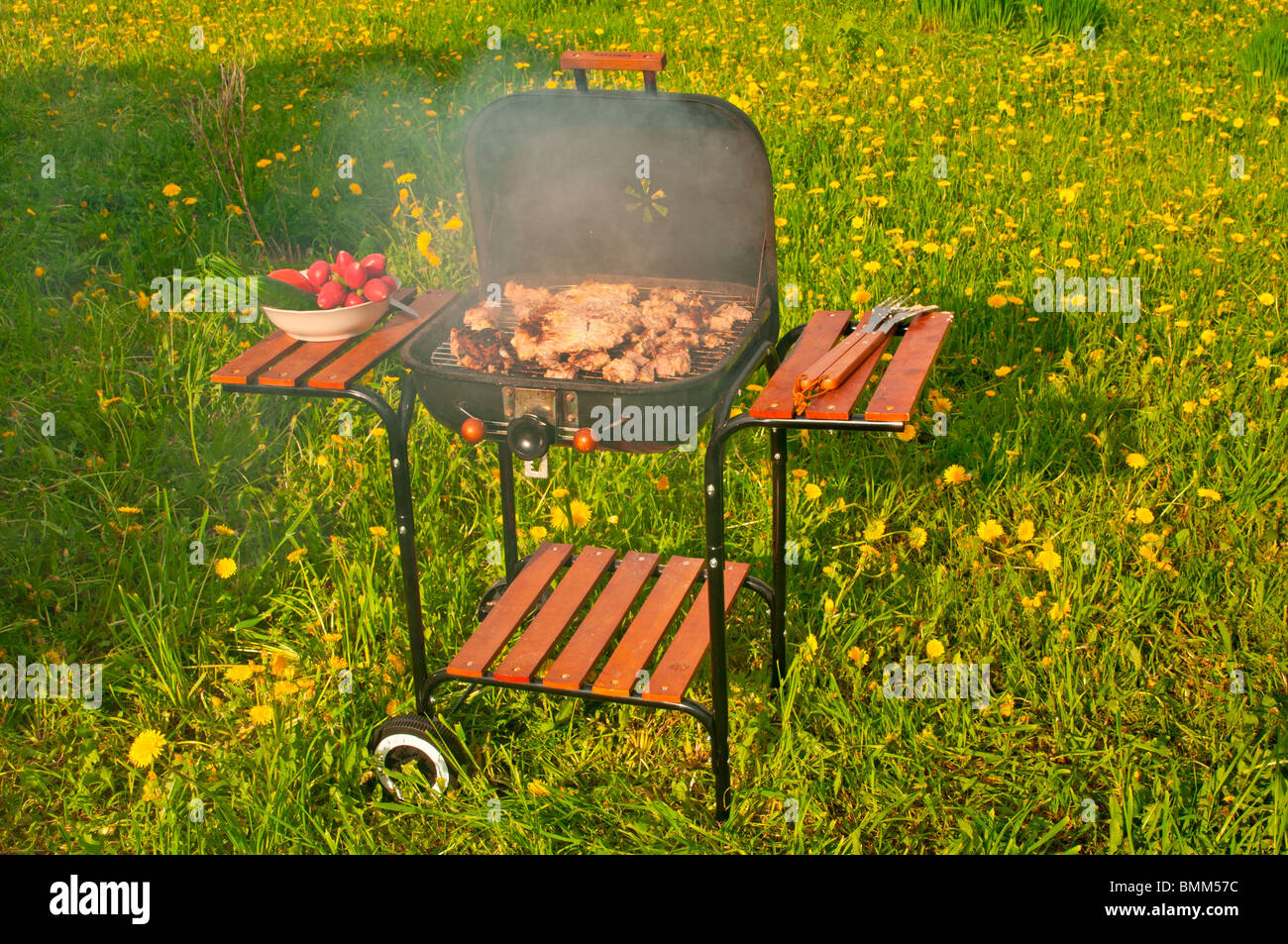 Barbeque on a summer lawn Stock Photo - Alamy
