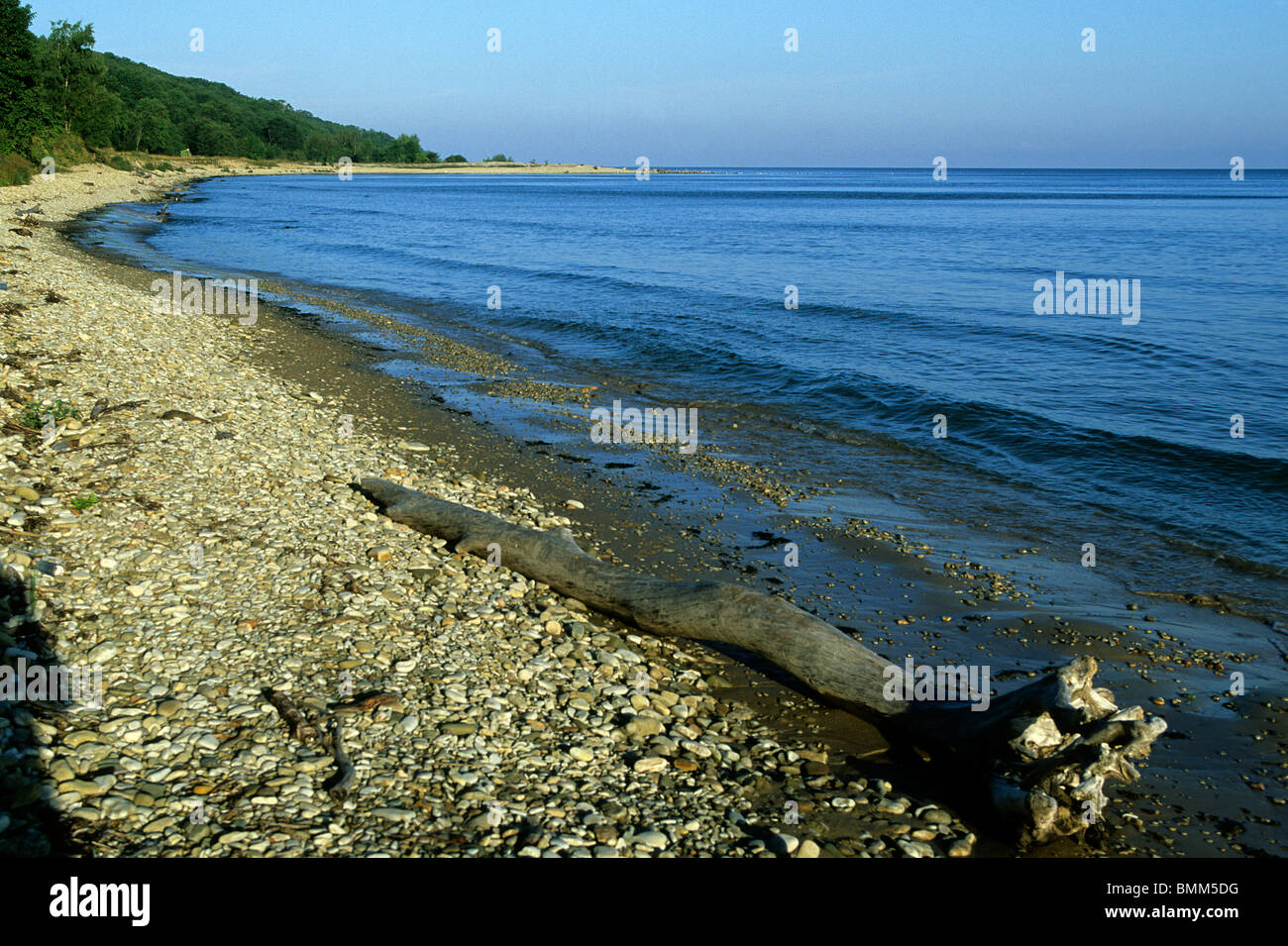 Estonia,Toila,Gulf of Finland,Baltic cost,beach Stock Photo - Alamy