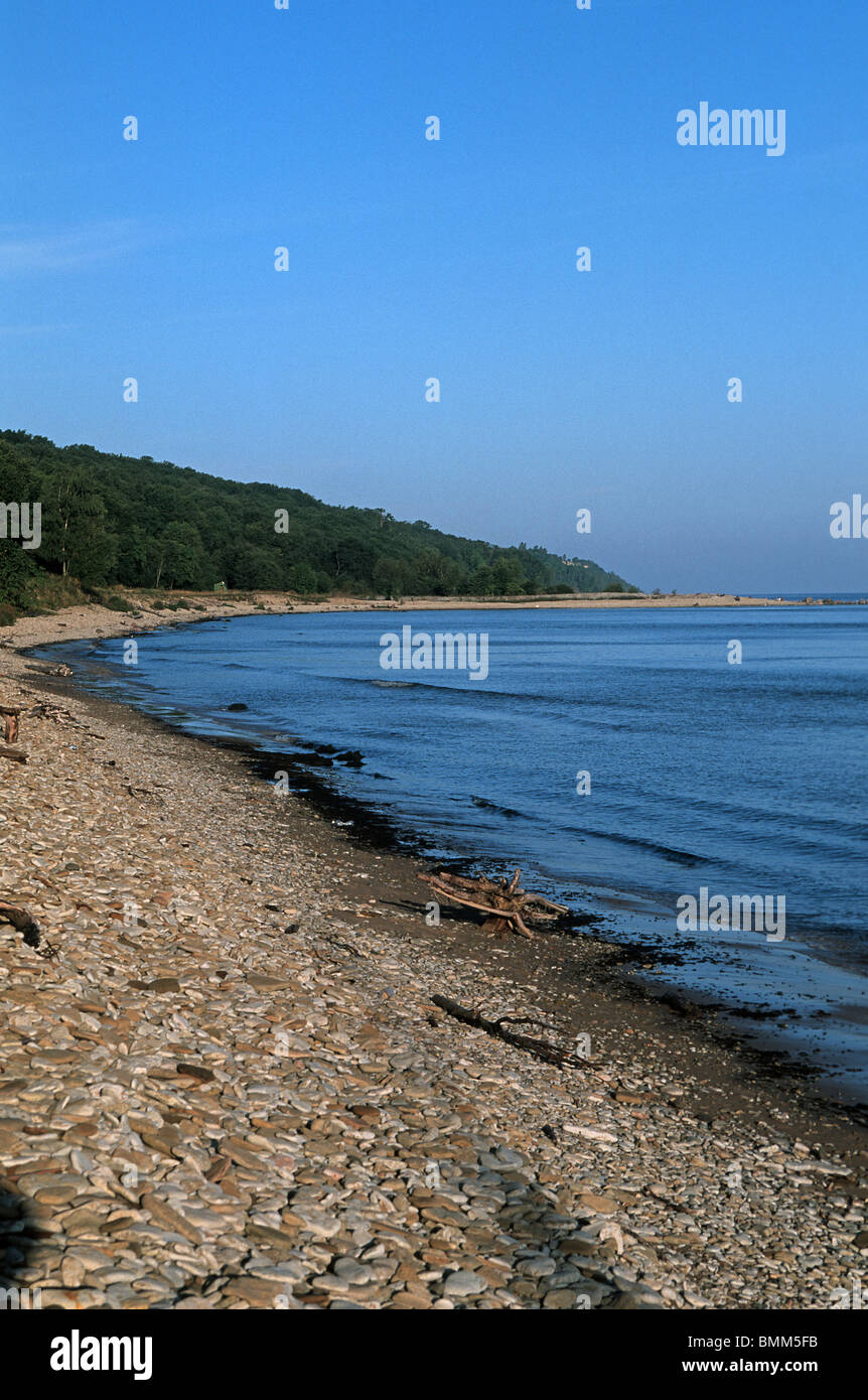 Estonia,Toila,Gulf of Finland,Baltic cost,beach Stock Photo - Alamy