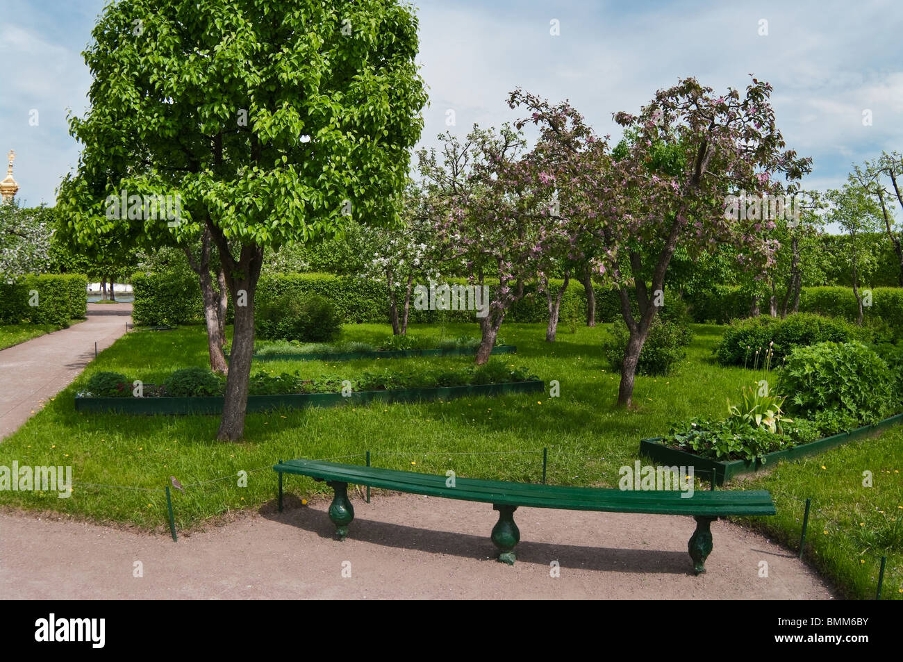 Apple trees garden in spring time in Peterhof in Russia. Bench near a ...
