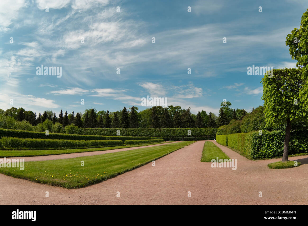 Landscape design in garden with trees and bushes in Peterhof ...