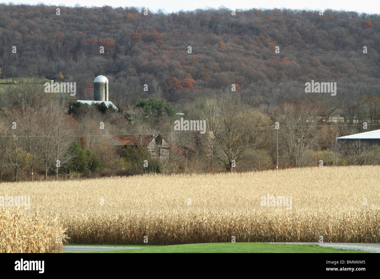 Fall farm scene Stock Photo - Alamy
