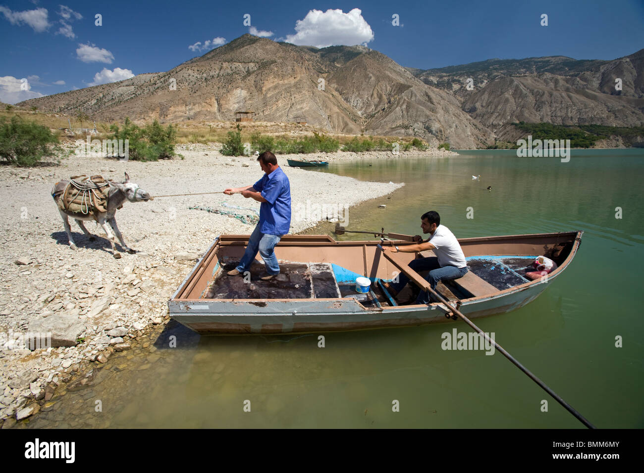 Donkey is resisting getting on board, Tortum Lake Van Turkey Stock ...