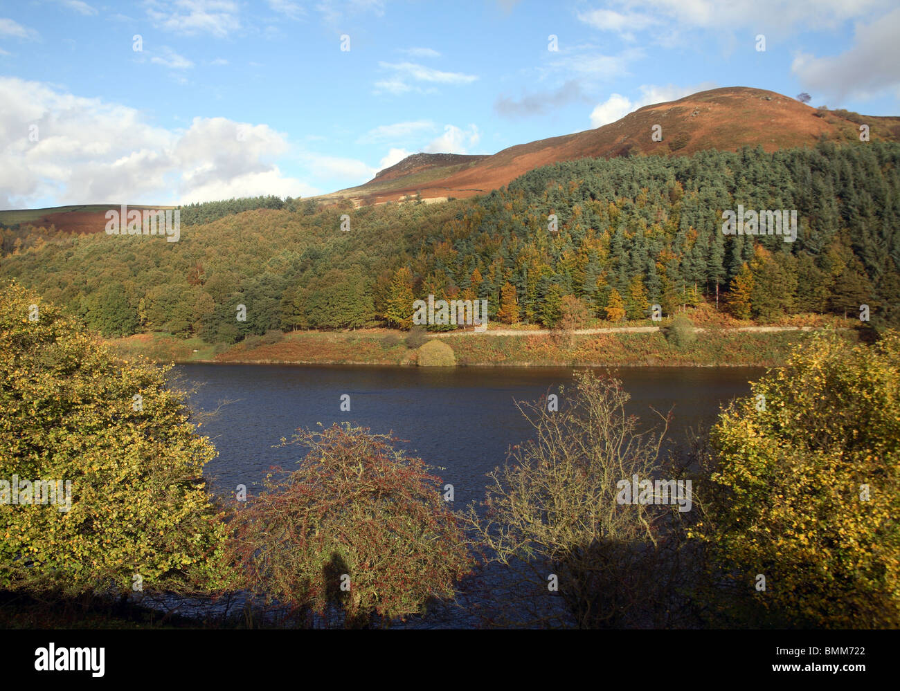 Autumn in Derwent Valley Stock Photo - Alamy