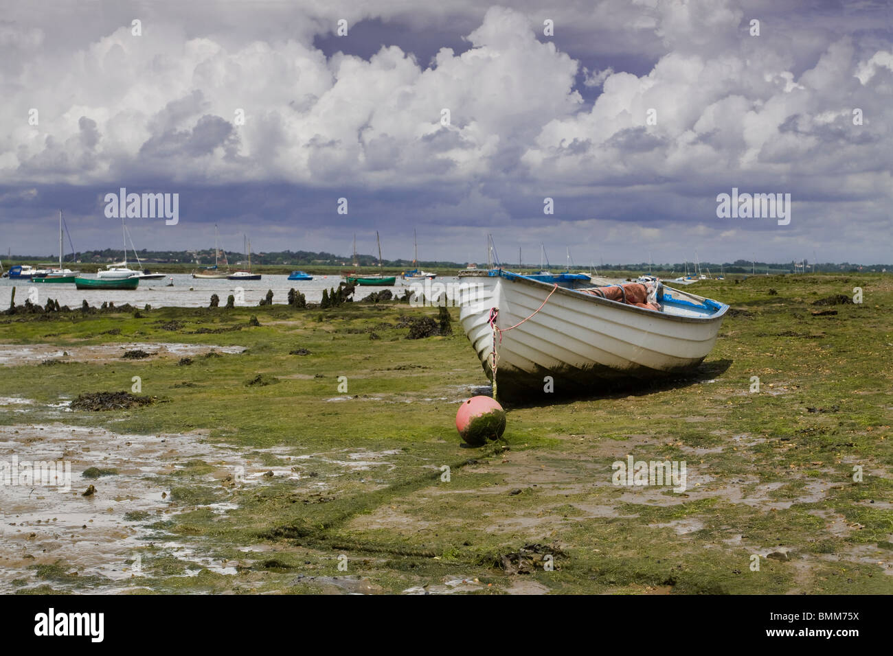 High and Dry Stock Photo - Alamy