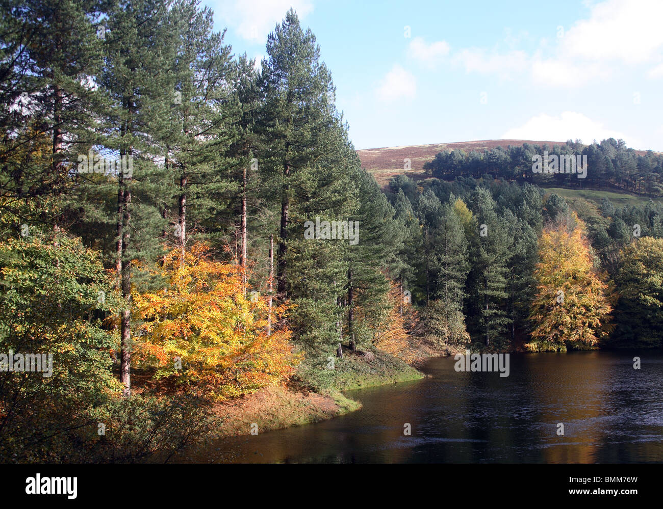 Autumn in Derwent Valley Stock Photo - Alamy