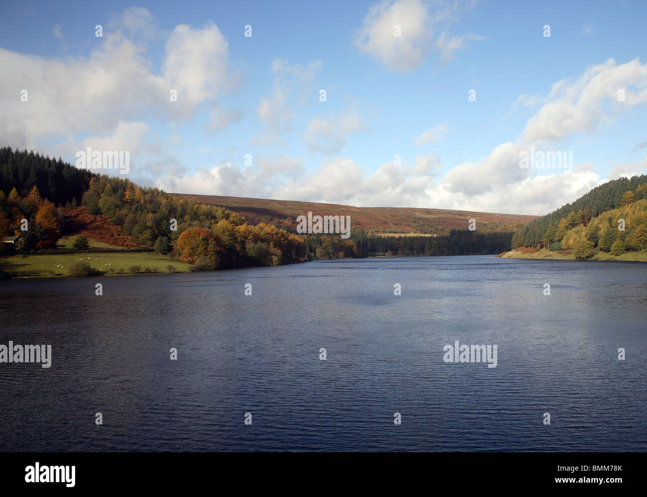 Autumn in Derwent Valley Stock Photo - Alamy