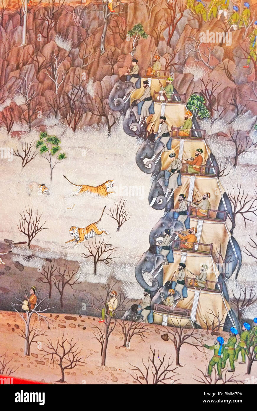 Tiger hunting with elephants hi-res stock photography and images - Alamy