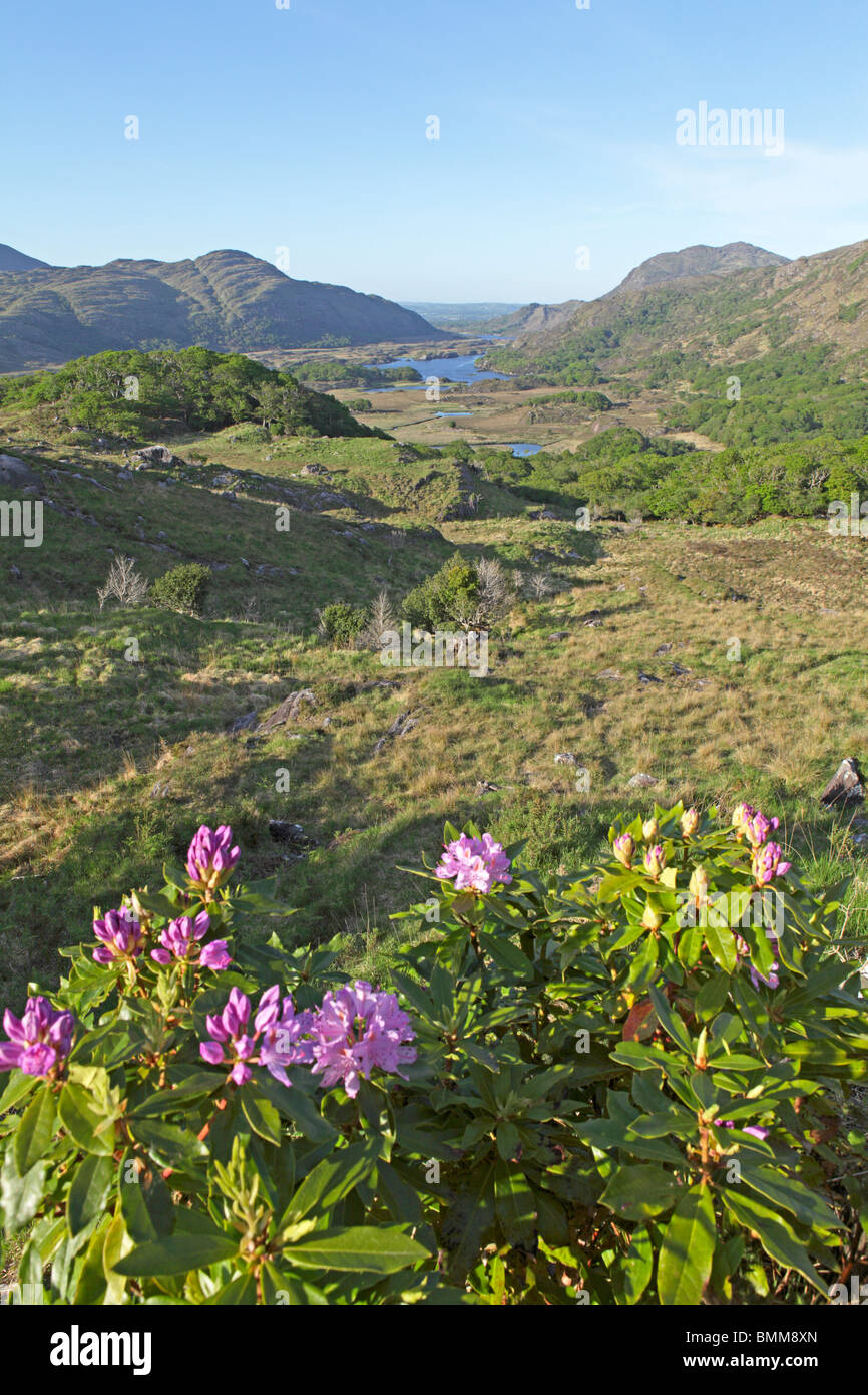 Lady view kerry hi-res stock photography and images - Alamy