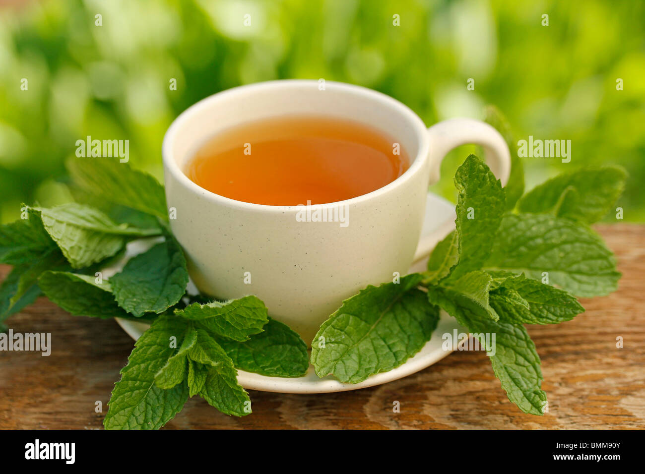 Spearmint tea hi-res stock photography and images - Alamy
