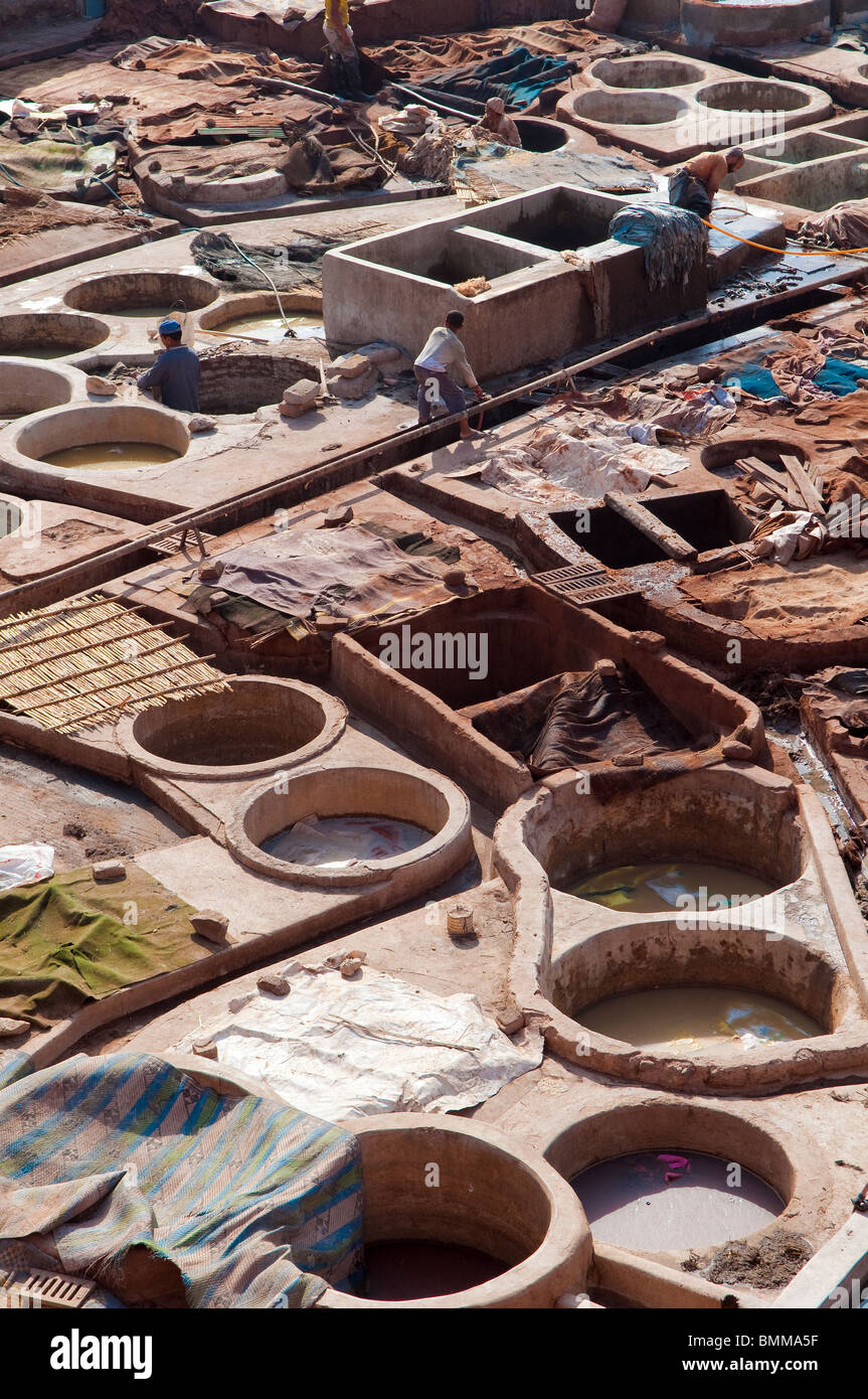 Animal hides ancient hi-res stock photography and images - Alamy