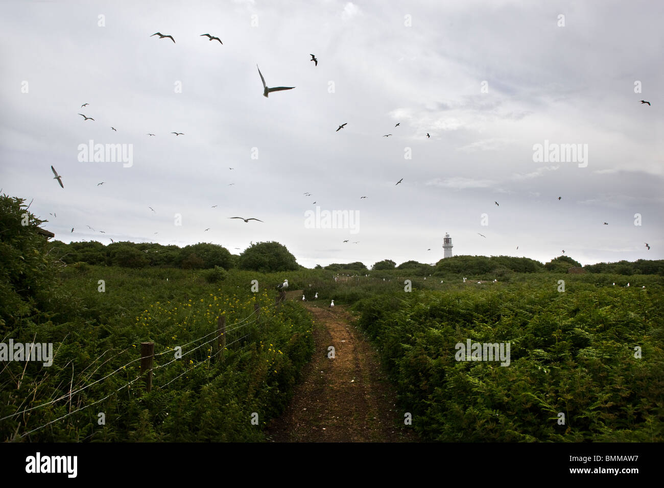 Flat holm hi-res stock photography and images - Alamy