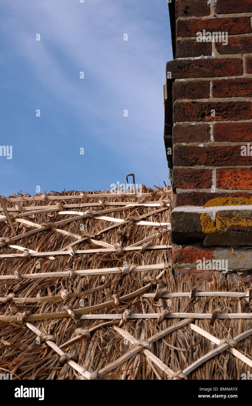 Reed thatch hi-res stock photography and images - Alamy