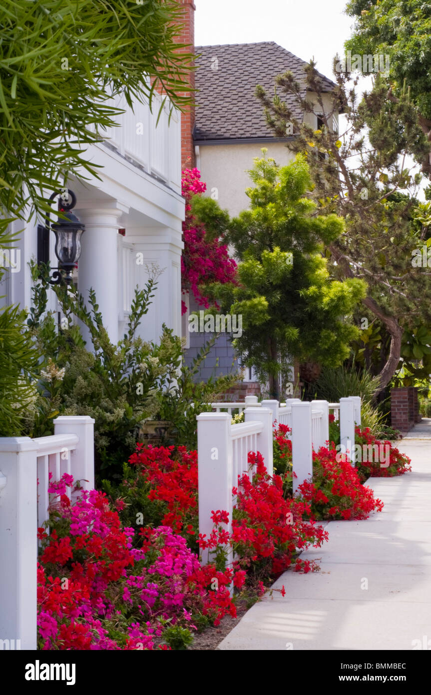 Flowers on the street Stock Photo - Alamy