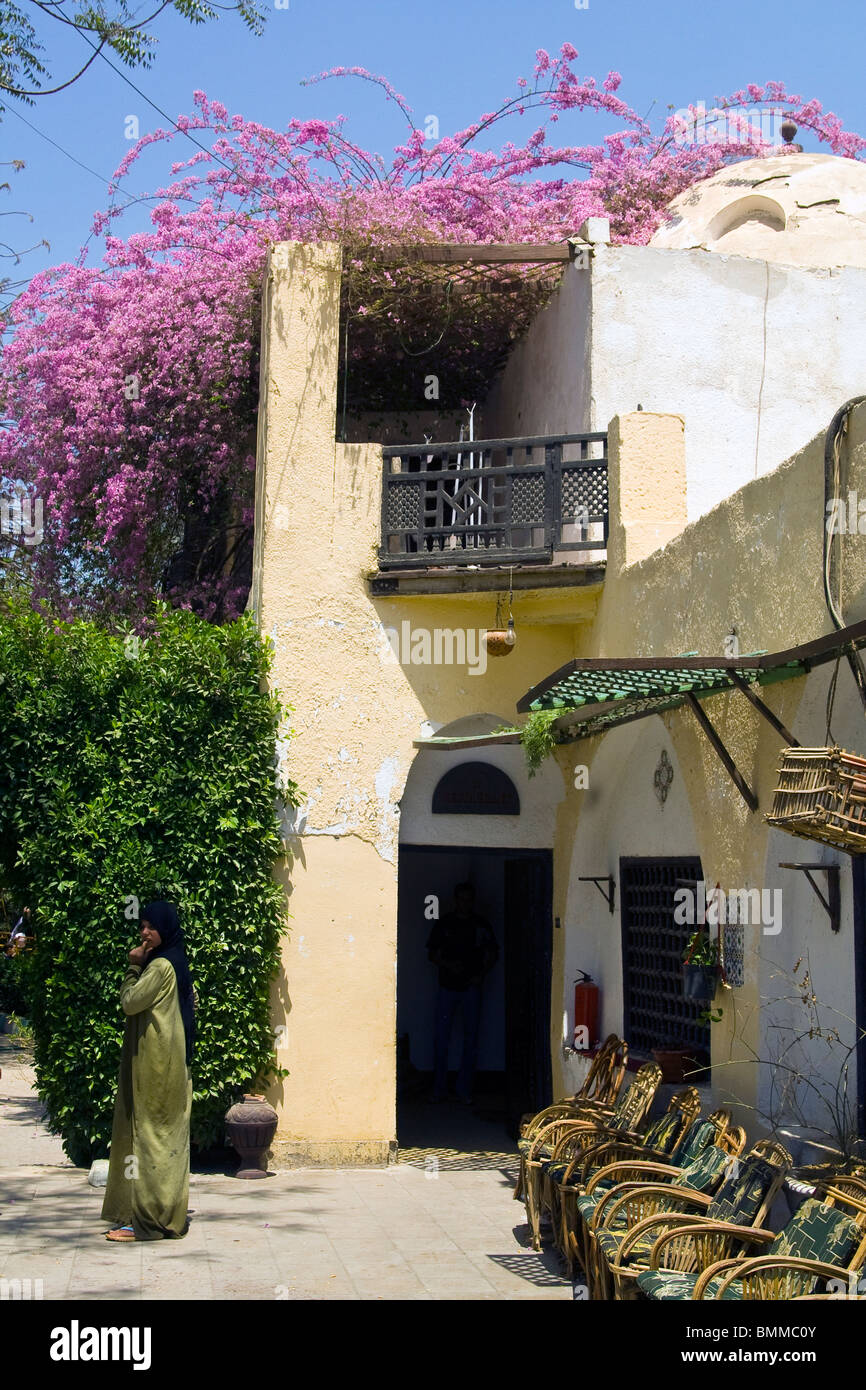 Cafe in cairo hi-res stock photography and images - Alamy