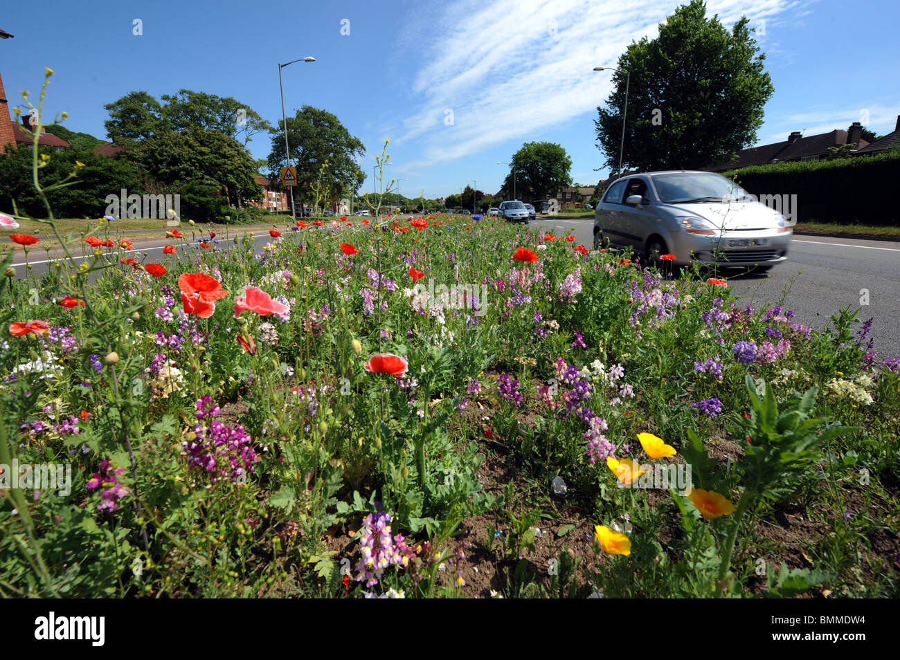 Roadside floral display hi-res stock photography and images - Alamy