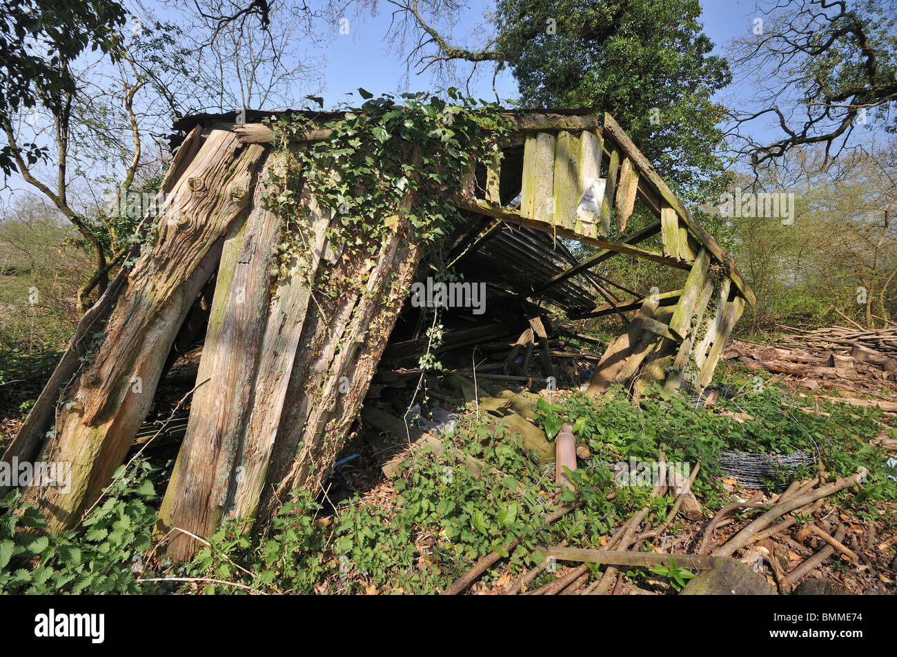 Old Falling down Shed in a Cotswold Woodland Stock Photo - Alamy