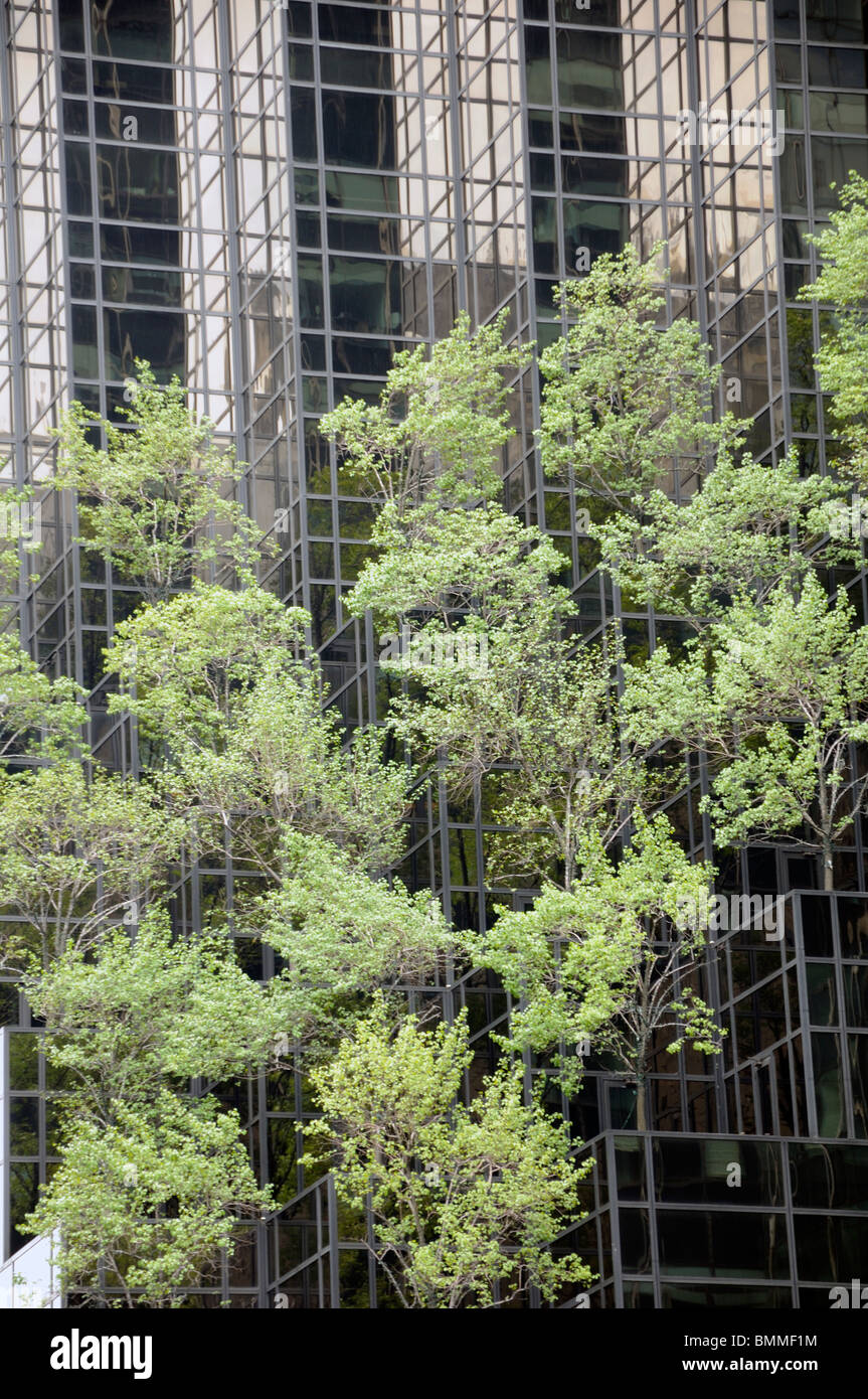 Trump tower roof hi-res stock photography and images - Alamy