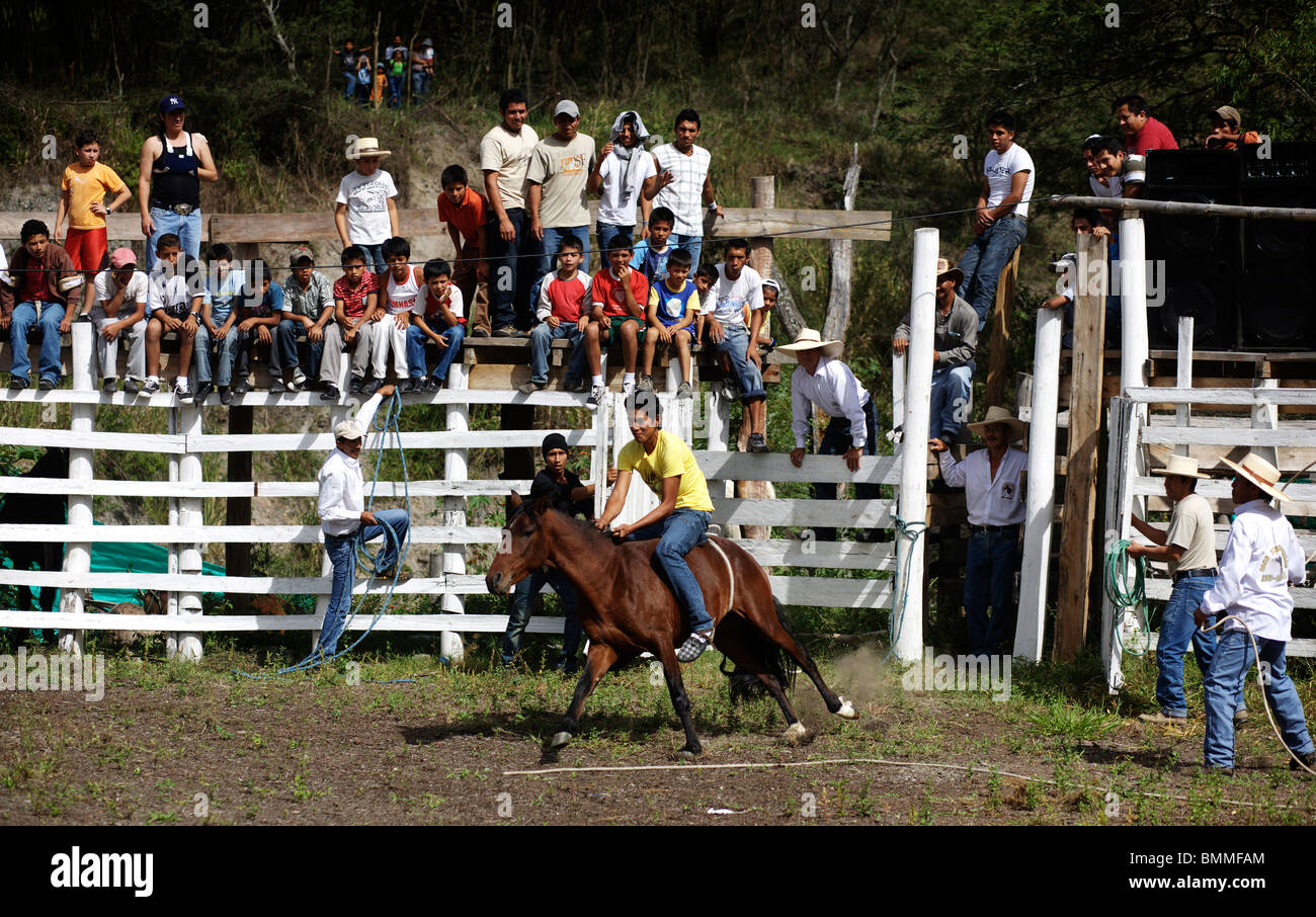 A man rides a horse during a rodeo competition in Vilcabamba in Ecuador ...