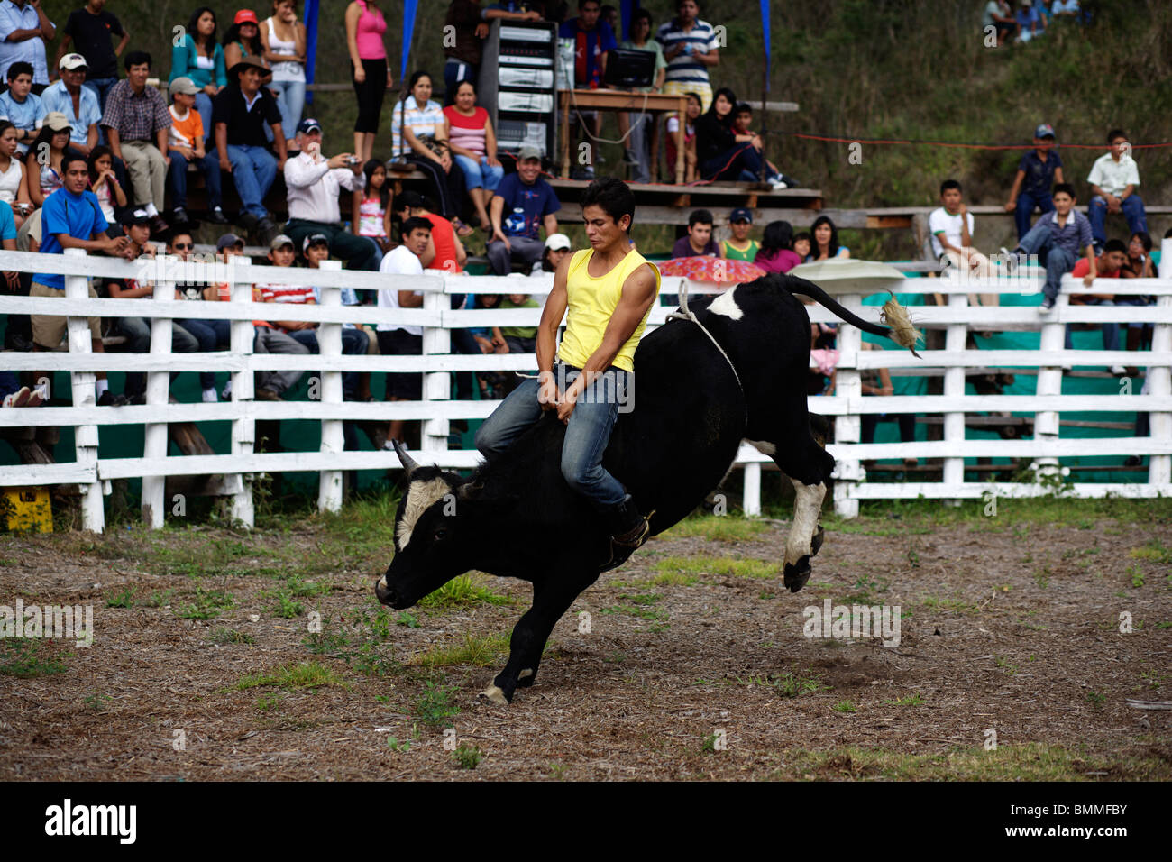 A man rides a bull during a rodeo competition at Vilcabamba in Ecuador ...