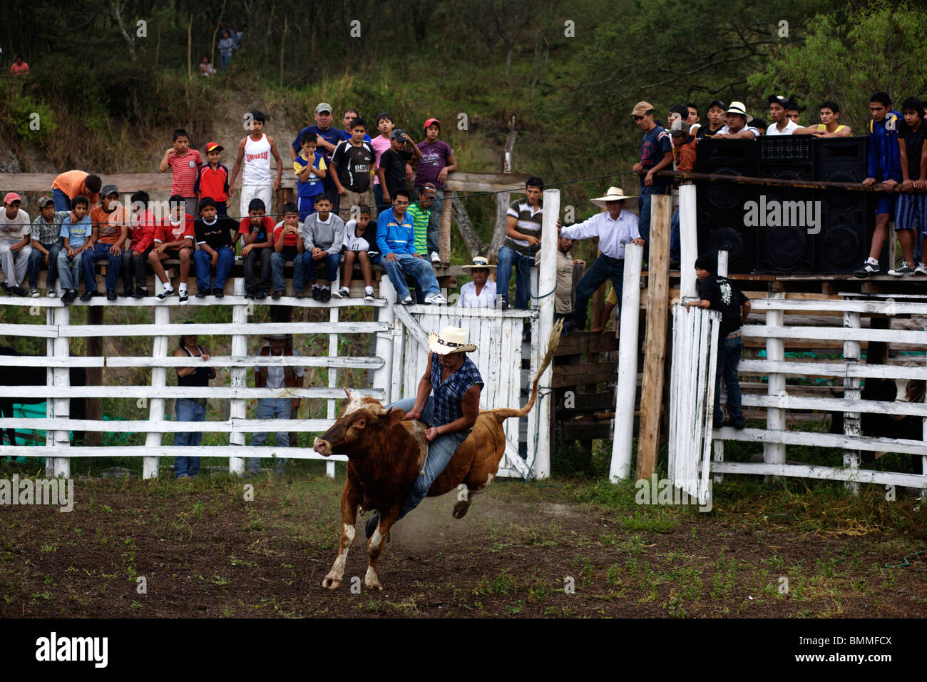 Rodeo competition hi-res stock photography and images - Alamy