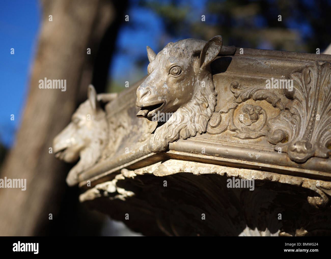 Detail of the goats head hi-res stock photography and images - Alamy