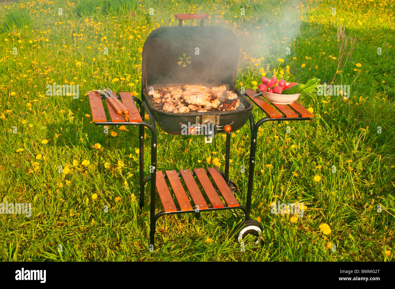 Barbeque in the garden Stock Photo - Alamy