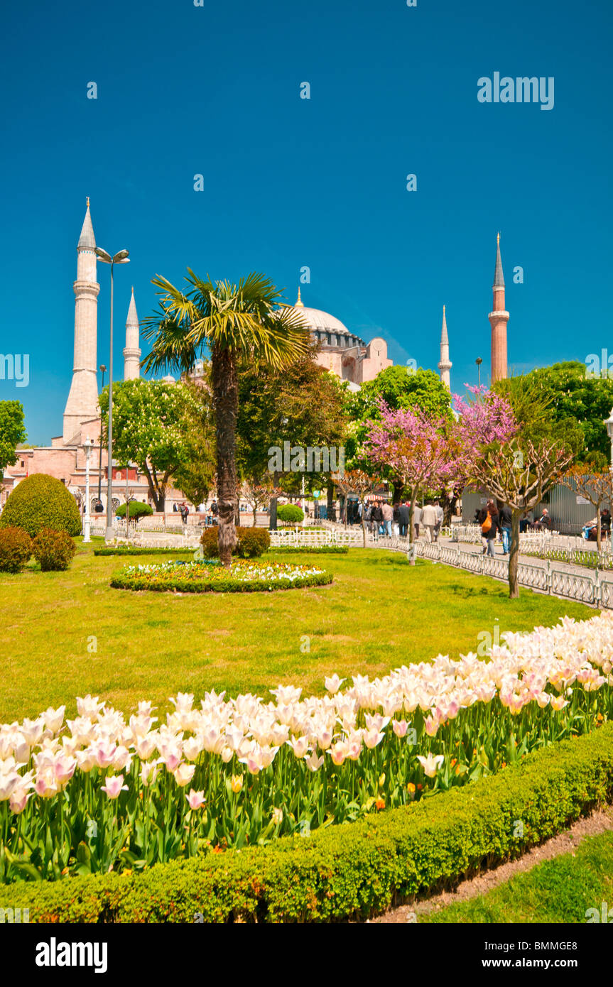 The Blue Mosque - view from the garden Stock Photo - Alamy