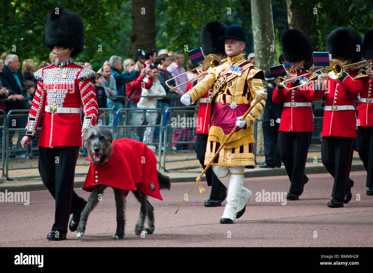 Trooping the Colour 2010, the Irish Guards mascot an Irish Wolfhound ...