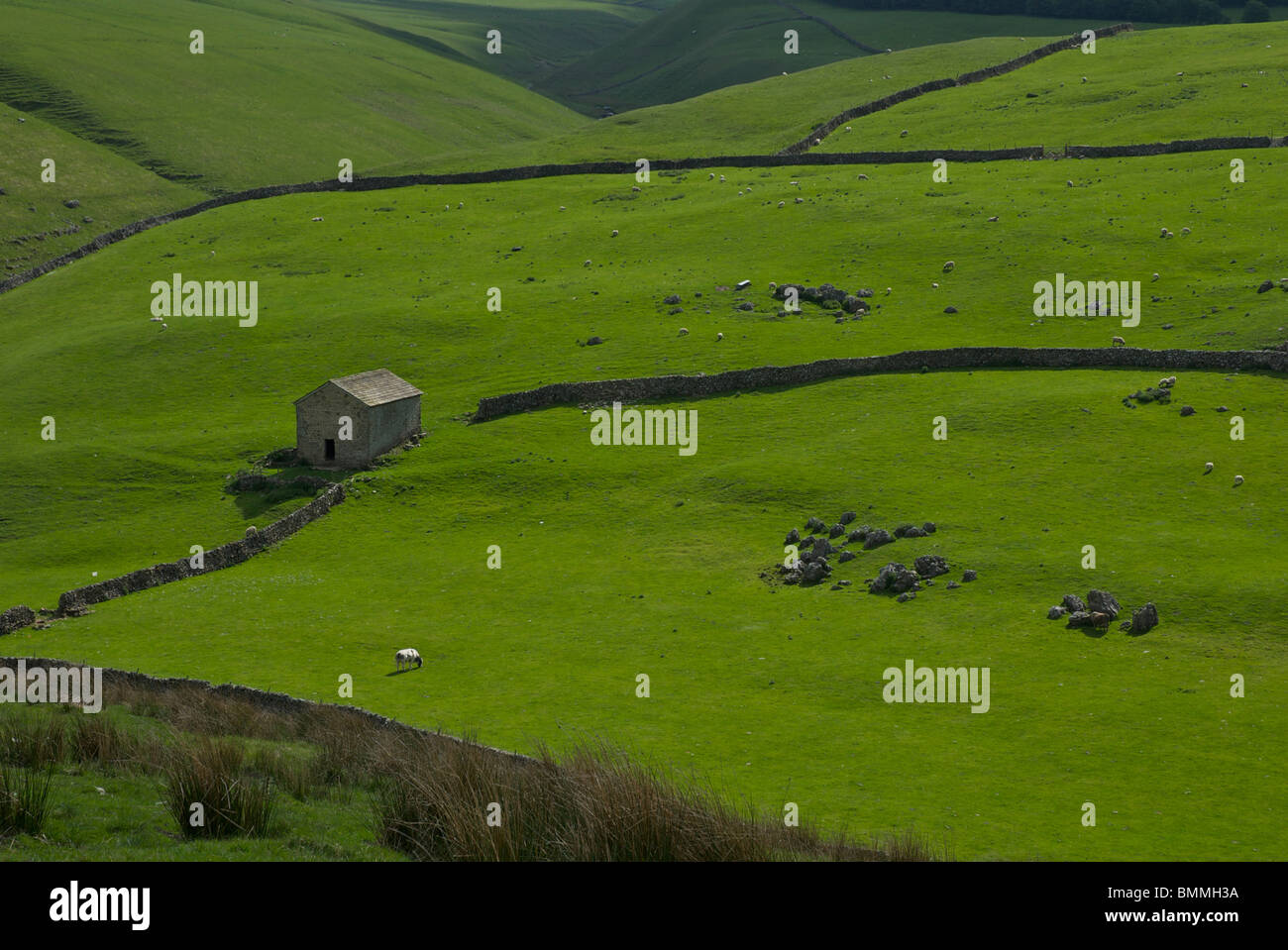 Field barn near Darnbrook Farm, Malham Moor, Yorkshire Dales National ...