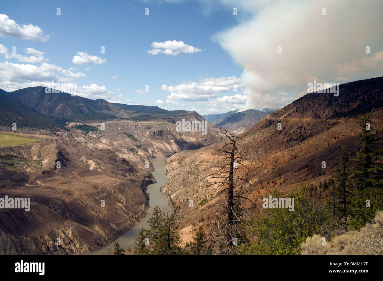 Forest Fire in Canada Stock Photo - Alamy