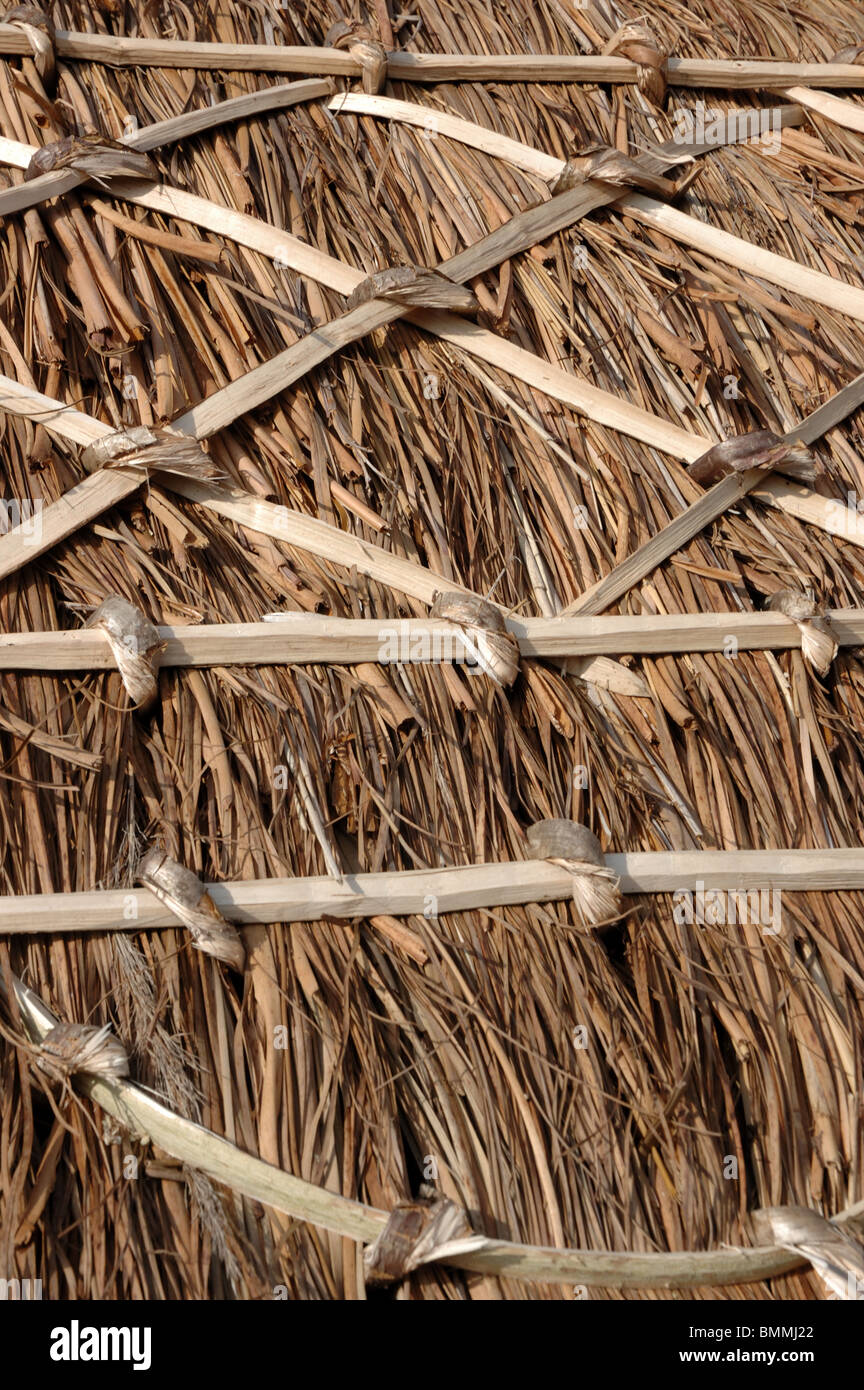Close-up of Norfolk reed thatch on a cottage roof Stock Photo - Alamy
