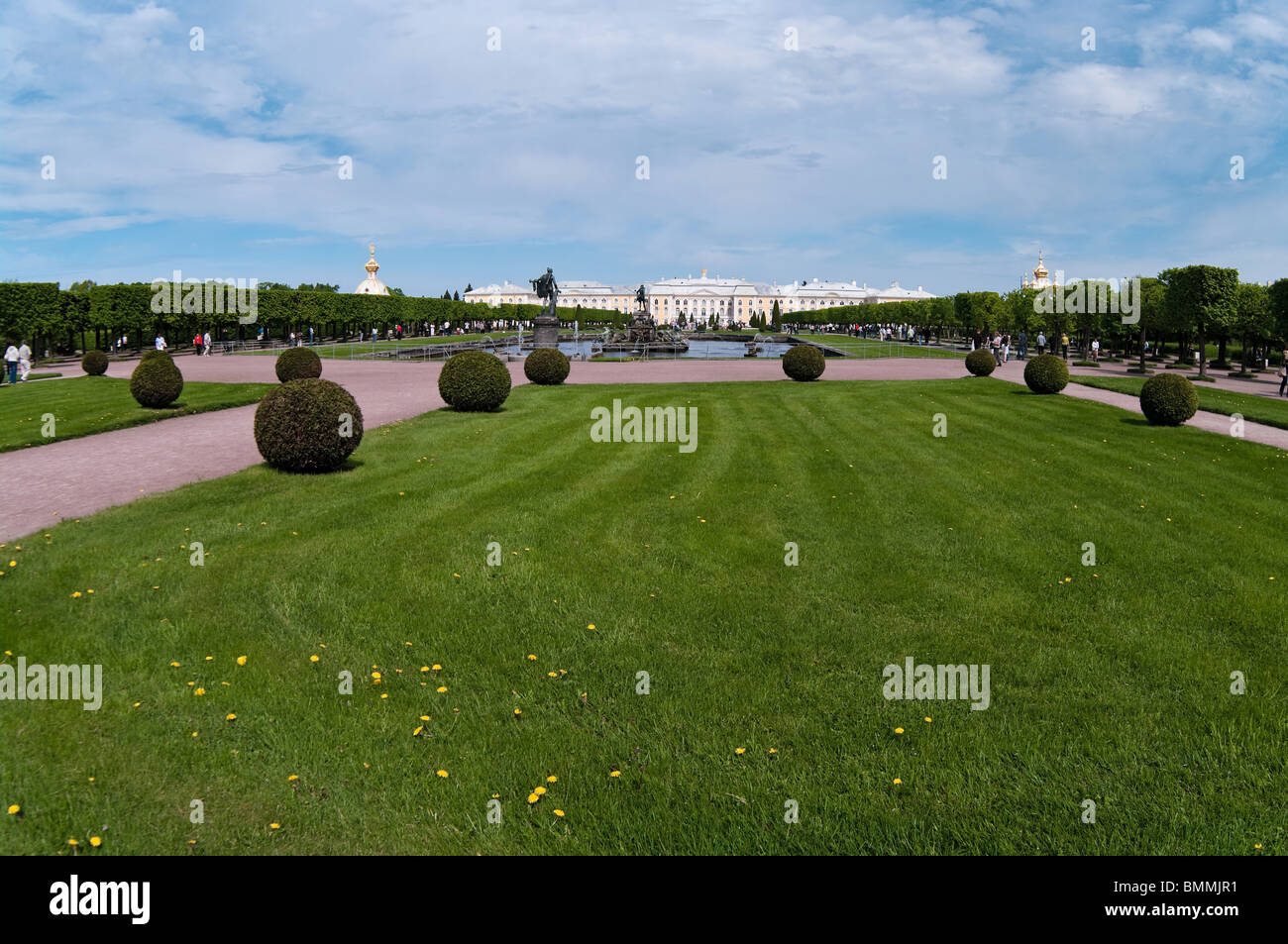 Landscape design in garden with trees and bushes in Peterhof ...