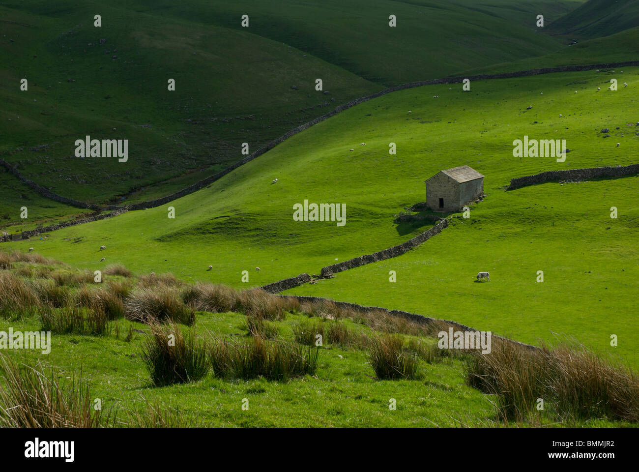 Field barn near Darnbrook Farm, Malham Moor, Yorkshire Dales National ...